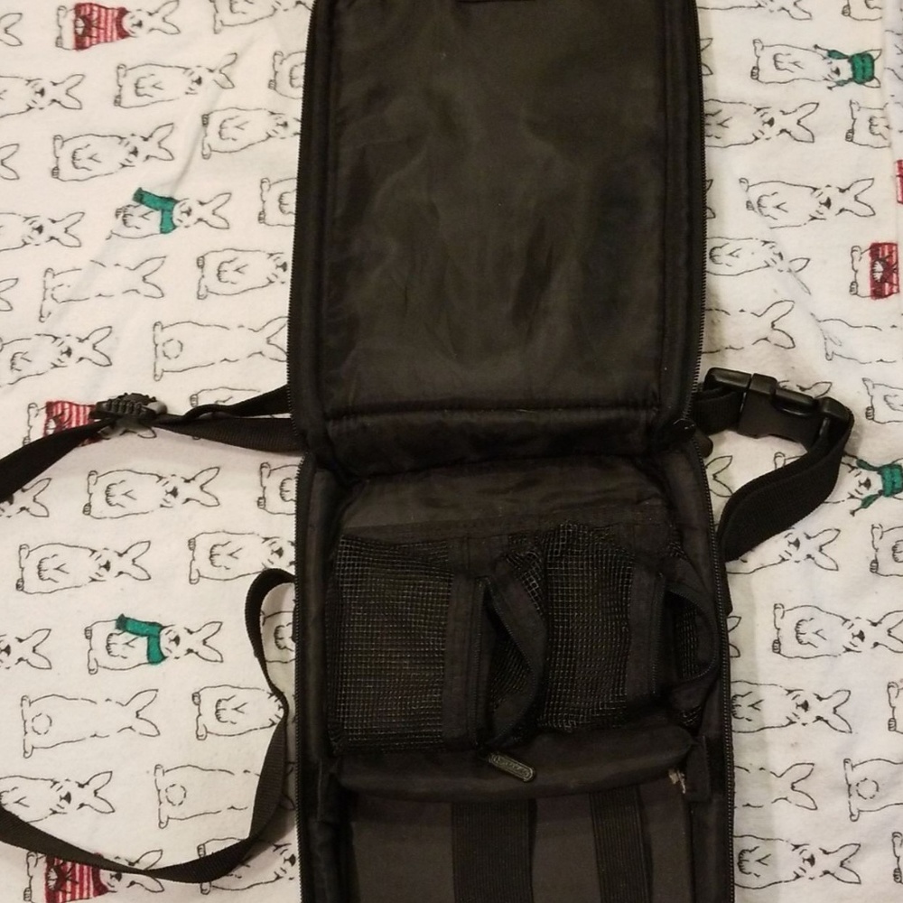 Gameboy Advance Carrying Case - Gem